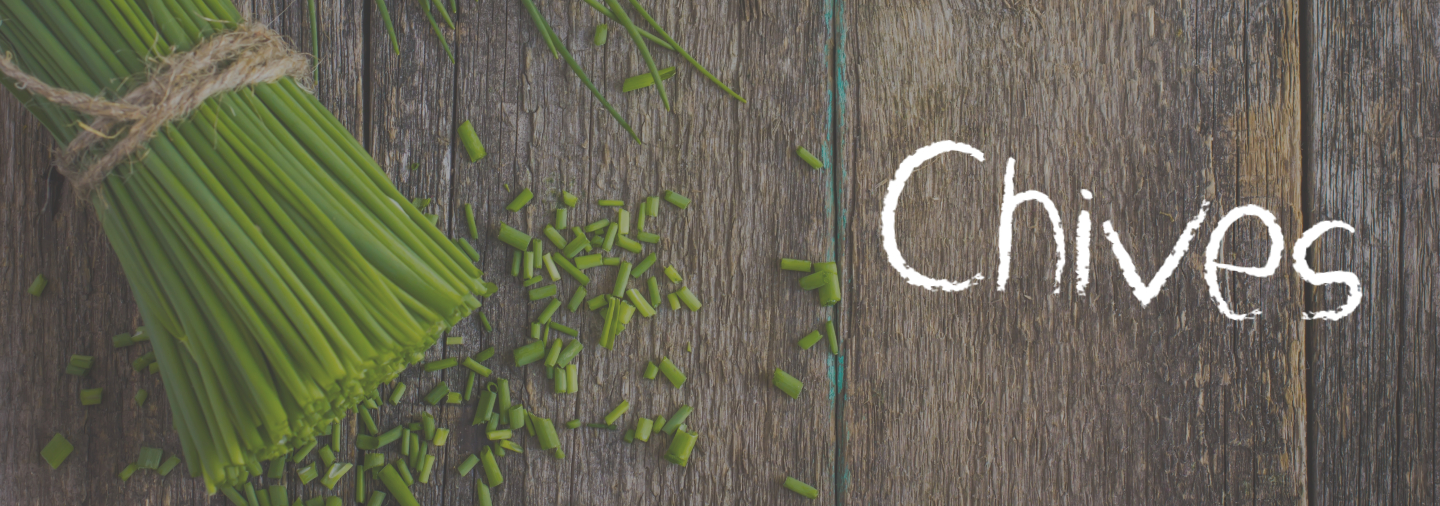 How to Use Chives | Kids Are Great Cooks