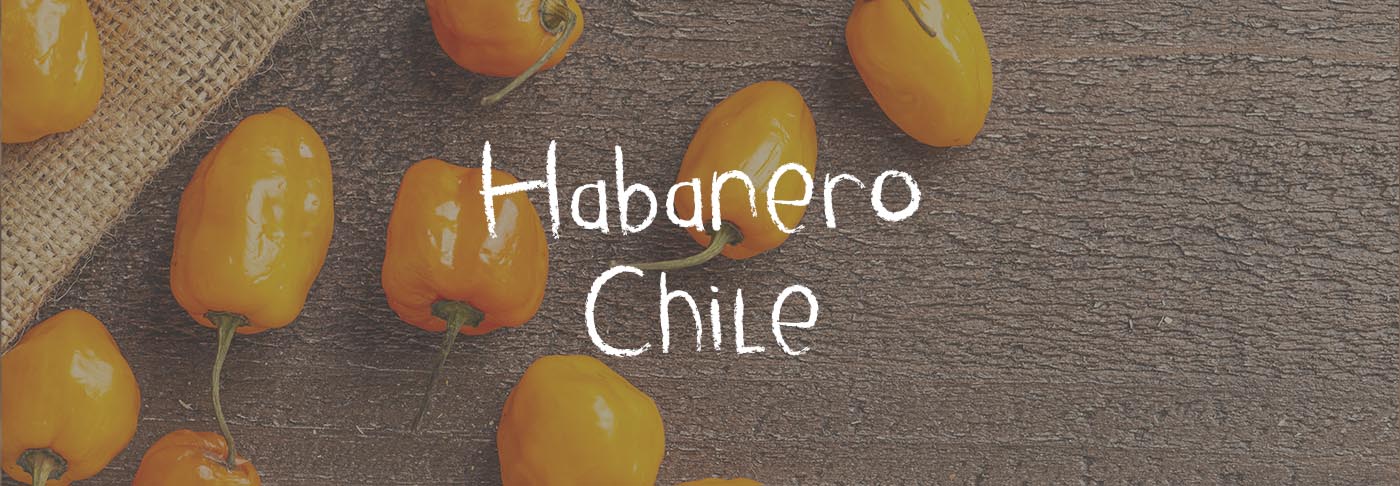 Learn About Habanero Peppers - Kids Are Great Cooks