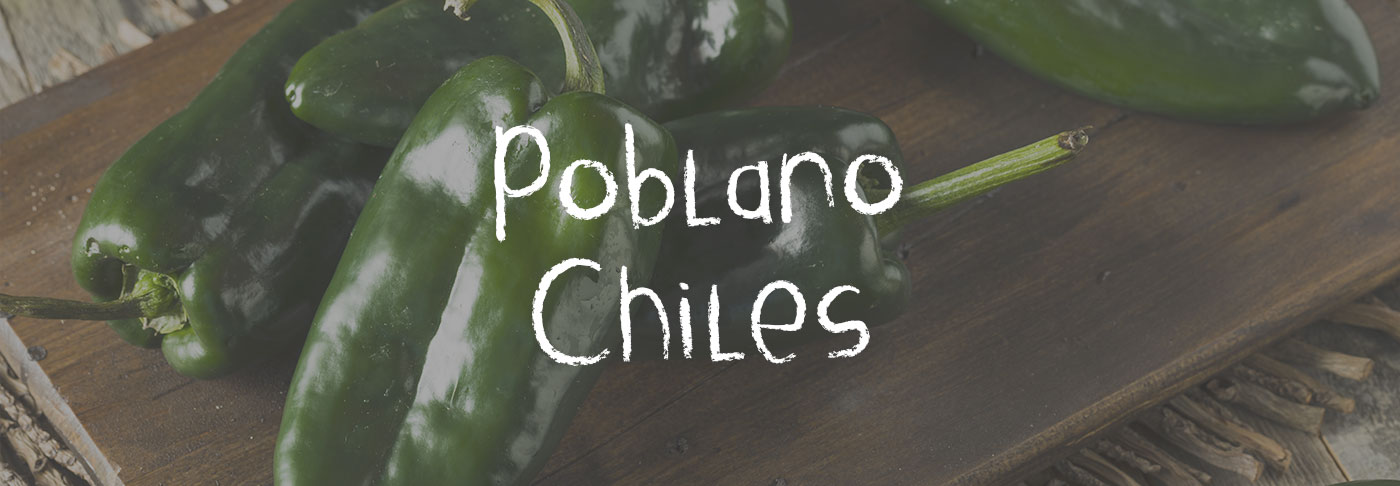 Poblano Chile: What Is It and How Can I Eat It? | Kids Are Great Cooks