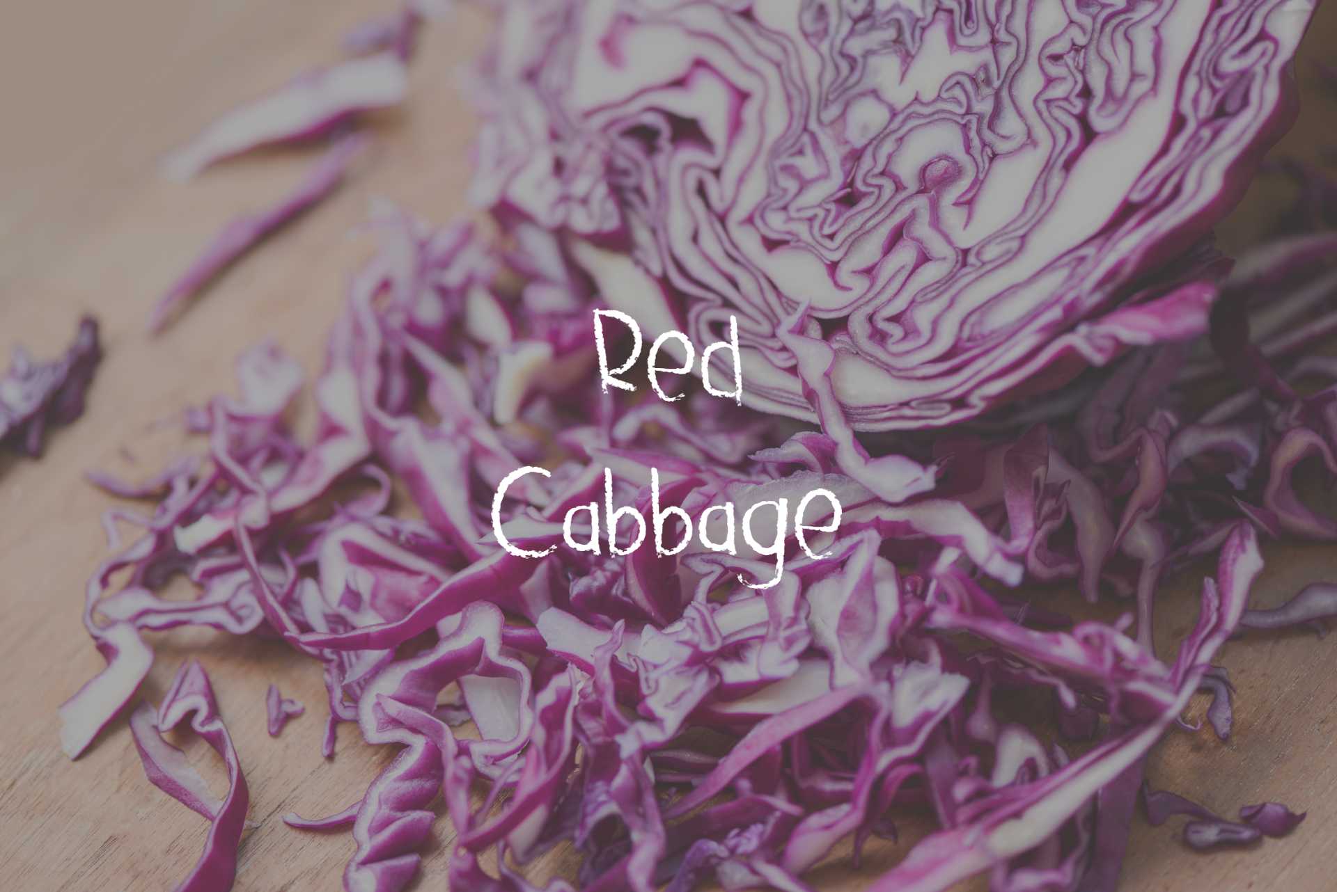 What is Red Cabbage and How is it Different? | Kids Are Great Cooks