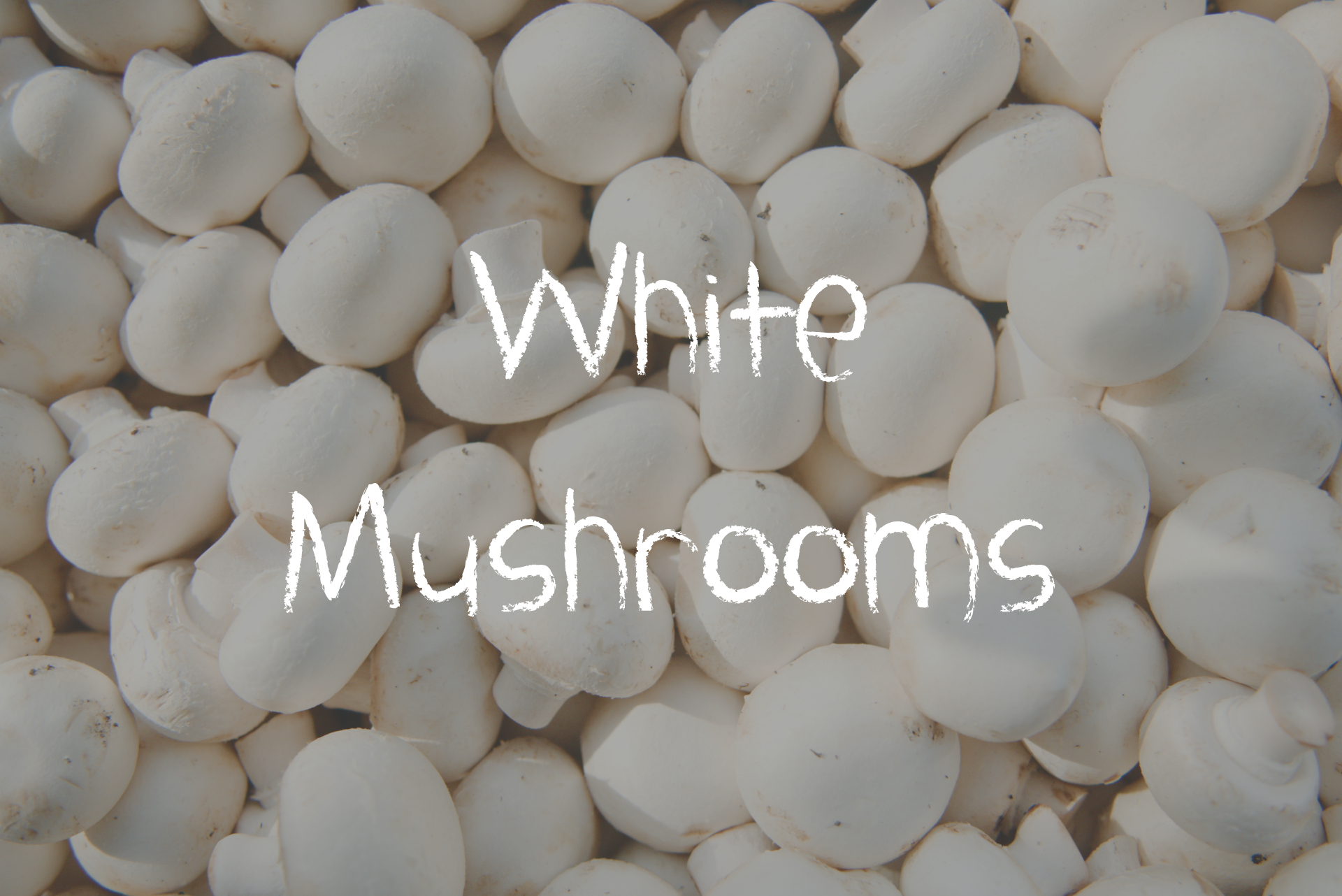 White Mushrooms: How They're Unique | Kids Are Great Cooks