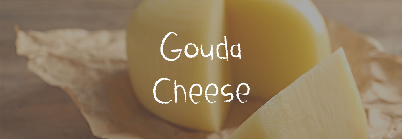 All About Gouda Cheese: How can I use it? | Kids Are Great Cooks